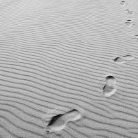 Scriptural Analysis- Leviticus 13:38-41 – Spiritual Wanderings